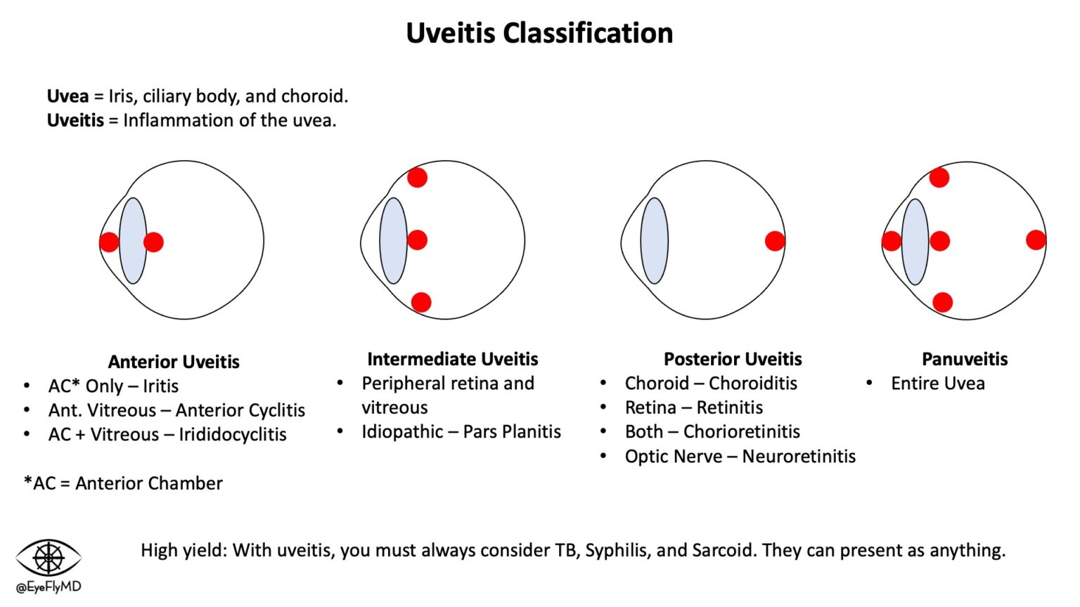 EyeFlyMD Educational Slides - Eye Fly MD