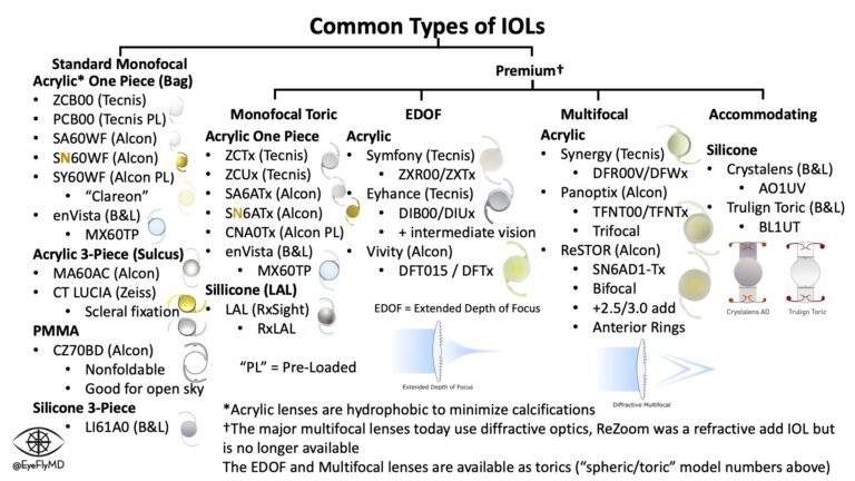 EyeFlyMD Educational Slides - Eye Fly MD