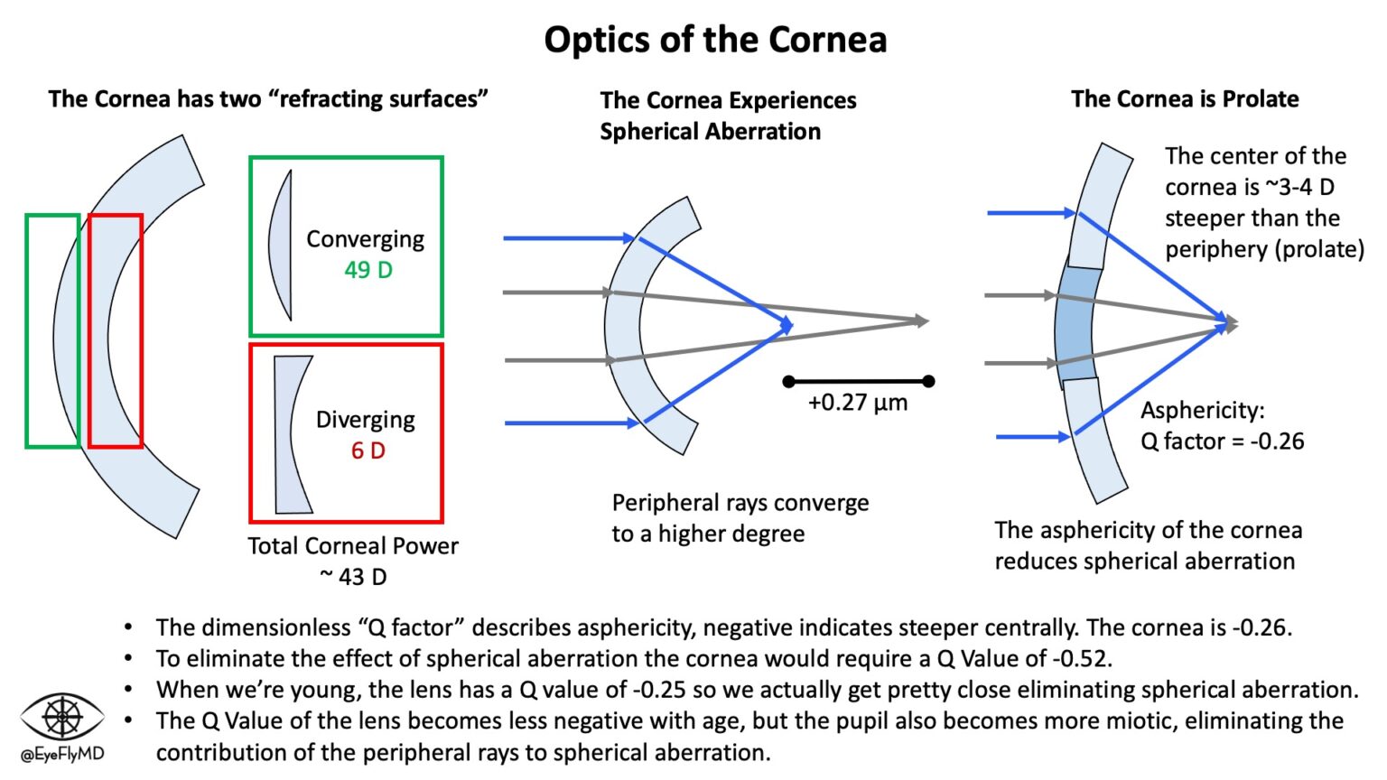 Educational and Matching in Ophthalmology Resources - Eye Fly MD
