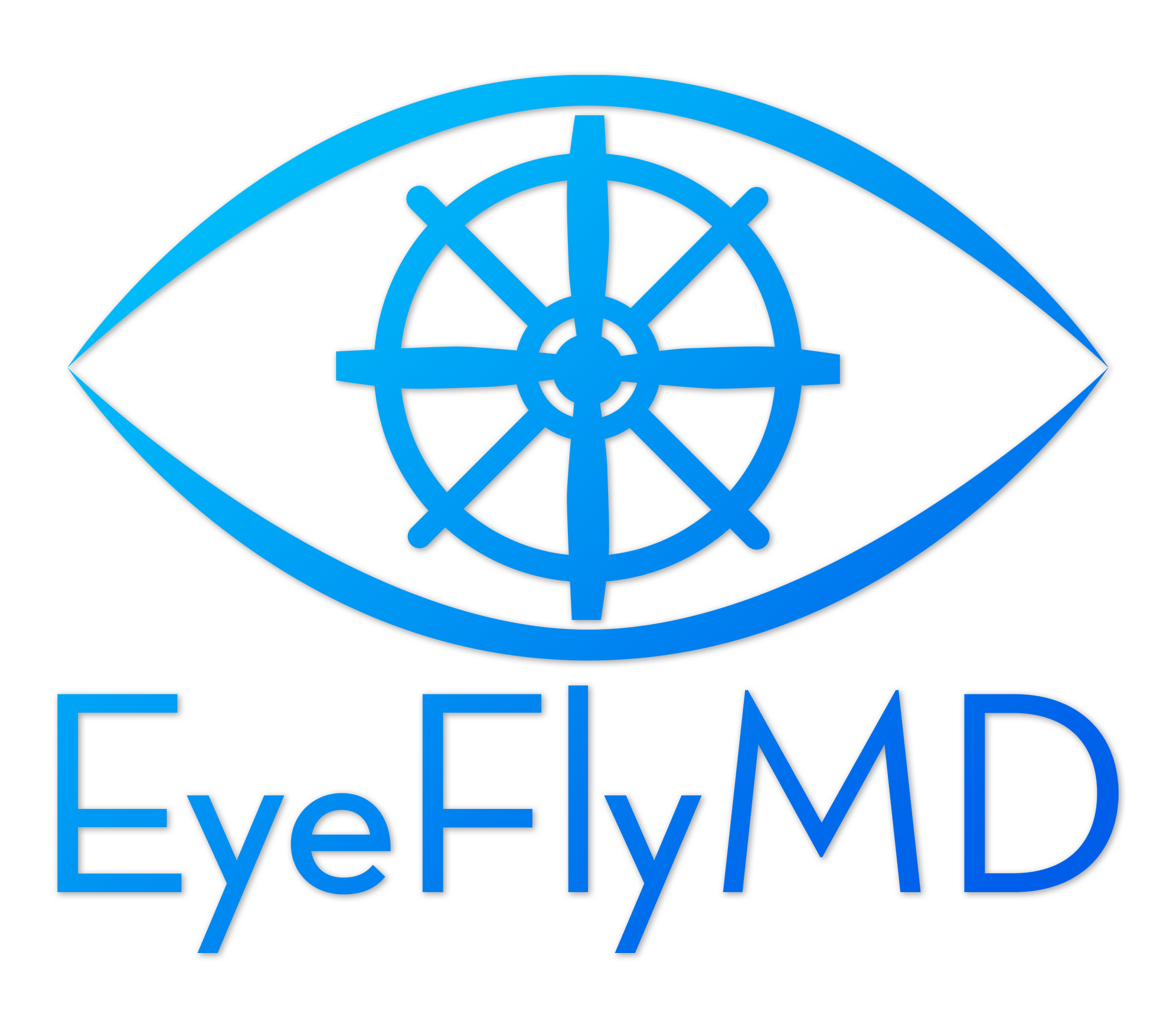 Eye Fly MD - Ophthalmology as I understand it.